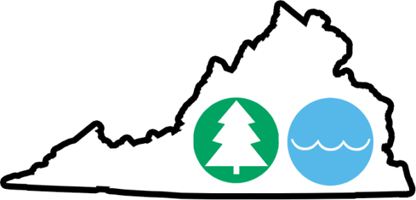 Small Waters - Lake Whitehurst - Woods & Waters Magazine