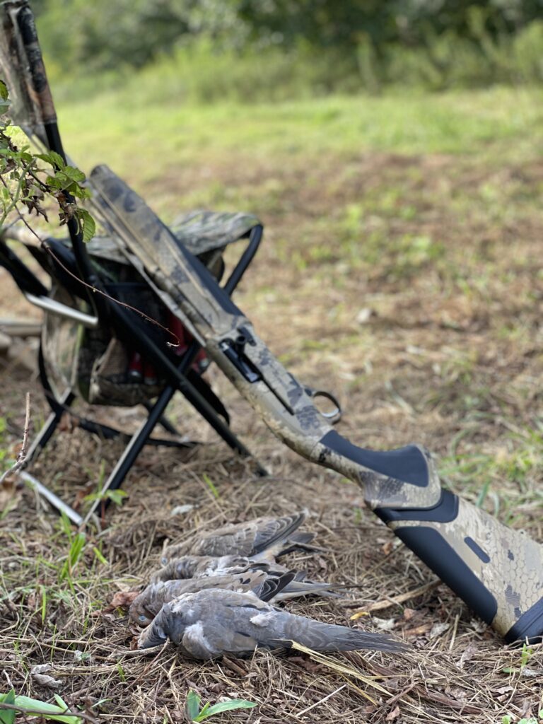 Dove Hunting - Woods & Waters Magazine
