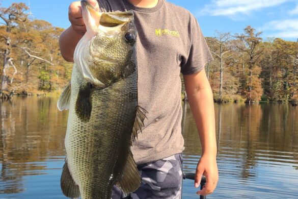 Chickahominy Lake/River - Woods & Waters Magazine