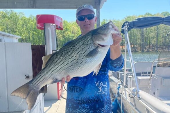 Lake Anna - Woods & Waters Magazine