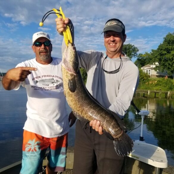 Destination File: Chowan River - Woods & Waters Magazine
