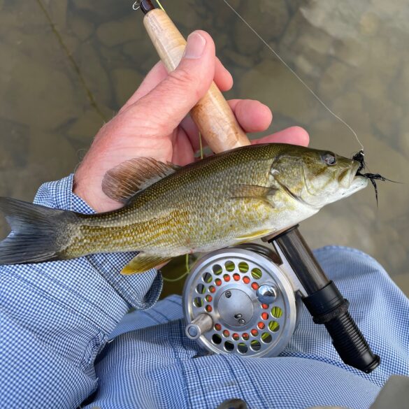 Destination File: Chowan River - Woods & Waters Magazine