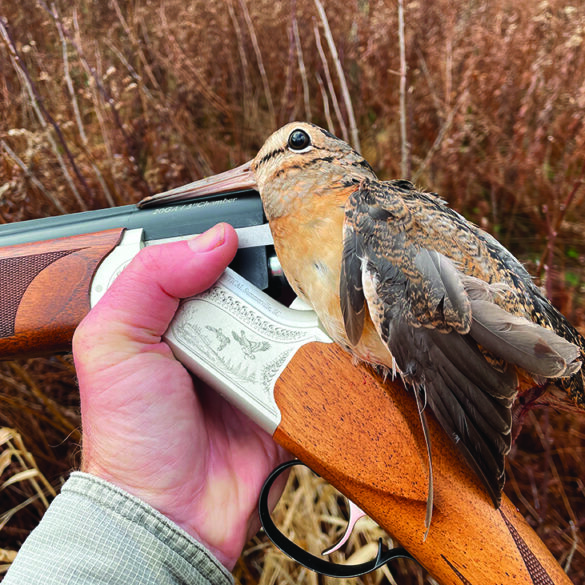 Virginia Goose Hunting - Woods & Waters Magazine