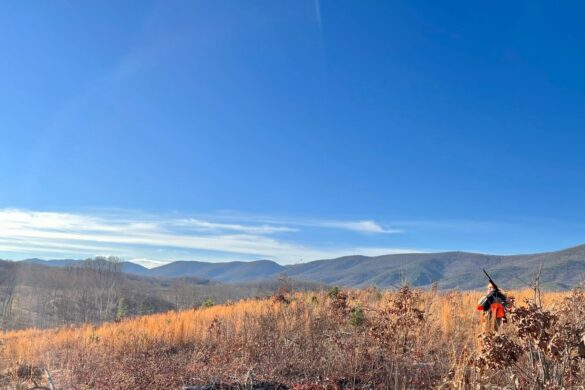 Destination File: Smith Mountain Lake - Woods & Waters Magazine