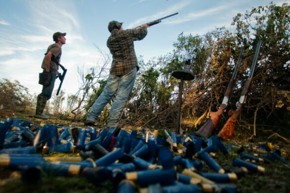 Virginia Goose Hunting - Woods & Waters Magazine