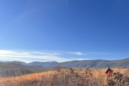Virginia Goose Hunting - Woods & Waters Magazine