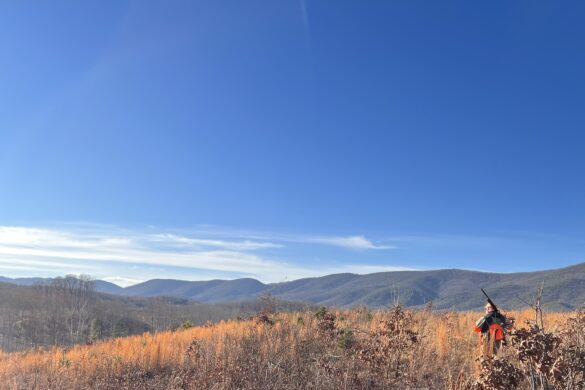 Virginia Goose Hunting - Woods & Waters Magazine