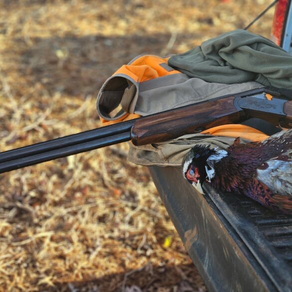 W2's Guide To Virginia Hunting Preserves & Outfitters - Woods & Waters ...