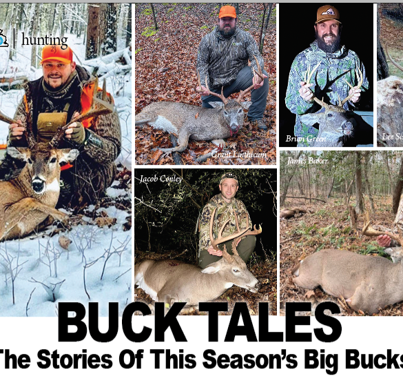 Destination File: Chowan River - Woods & Waters Magazine