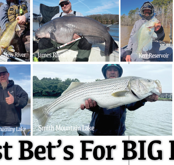 Destination File: Chowan River - Woods & Waters Magazine